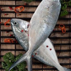 Exotic Frozen Fish – Frozen Fish Direct