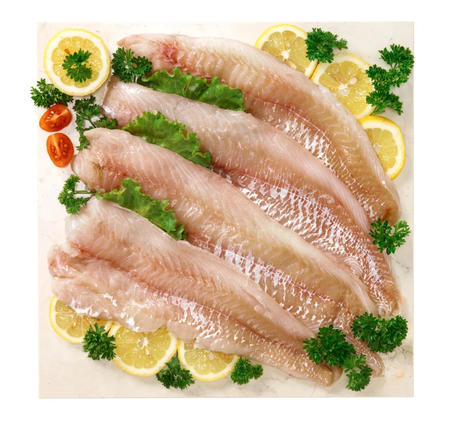 Coley Fillet 1kg - Frozen Fish Direct