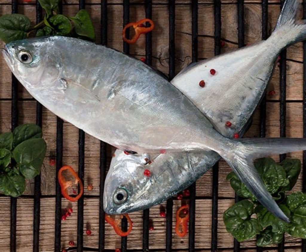 Trevally 800g -1kg - Frozen Fish Direct